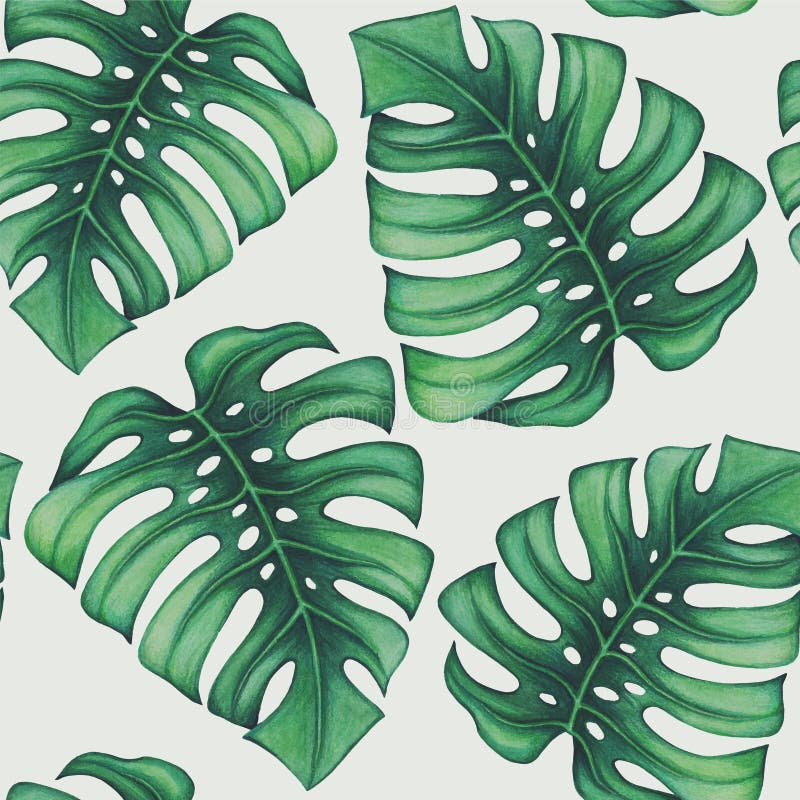 Tropical Palm Leaves Seamless Pattern Stock Illustration - Illustration ...