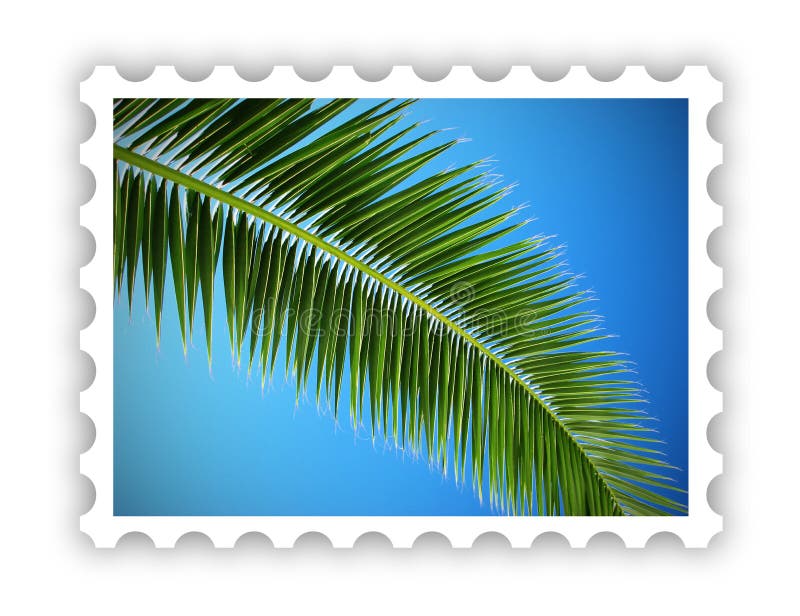 Tropical Palm Postage Stamp Stock Illustration - Illustration of blue ...