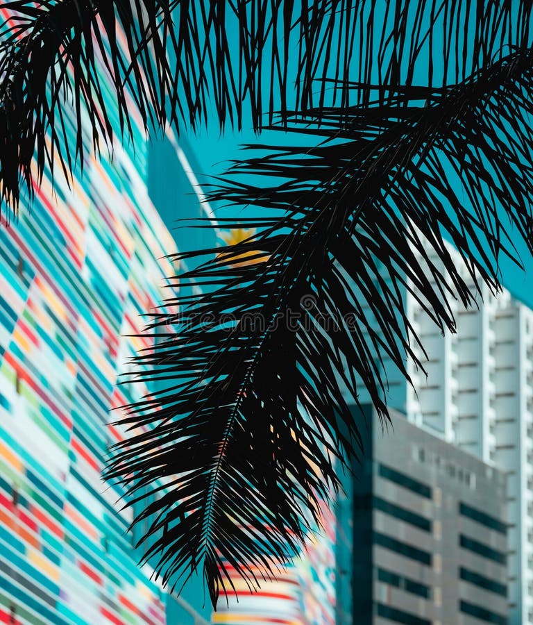 Palm Tree Branches Frame Colorful Striped Building in the Distance with ...
