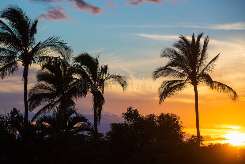 Palm Trees at an Island Sunset Stock Photo - Image of hawaiian, ocean ...