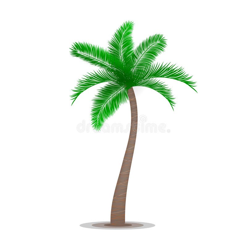 Tropical palm tree symbol stock vector. Illustration of leaves - 37898206