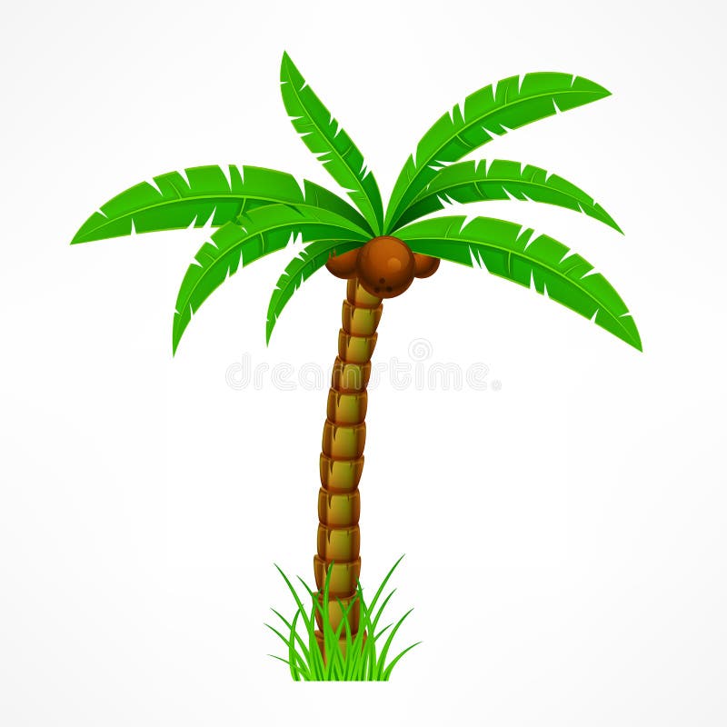 Tropical palm tree stock vector. Illustration of tropical - 95598065