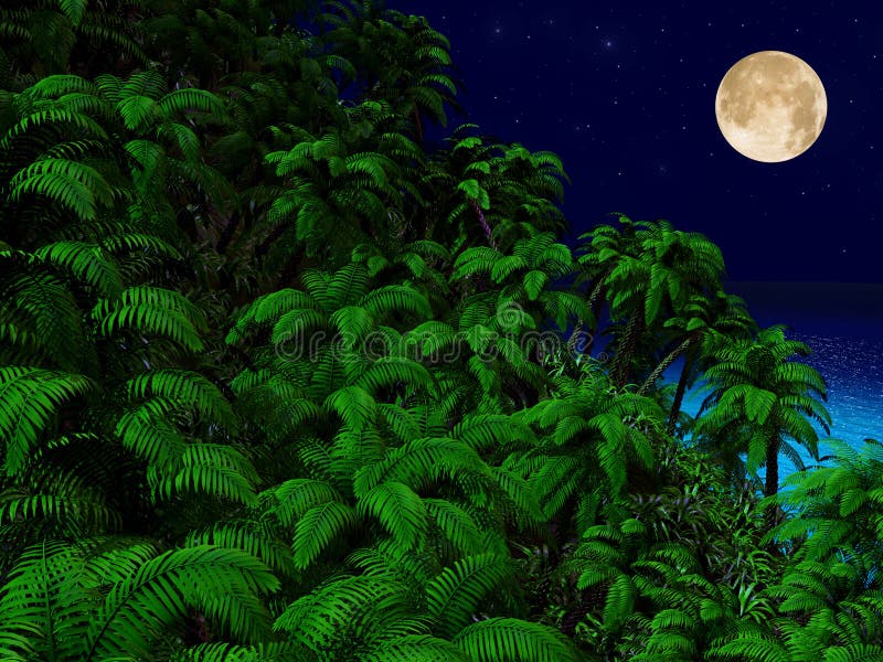 Tropical Palm Trees and Ocean at Night Stock Illustration ...