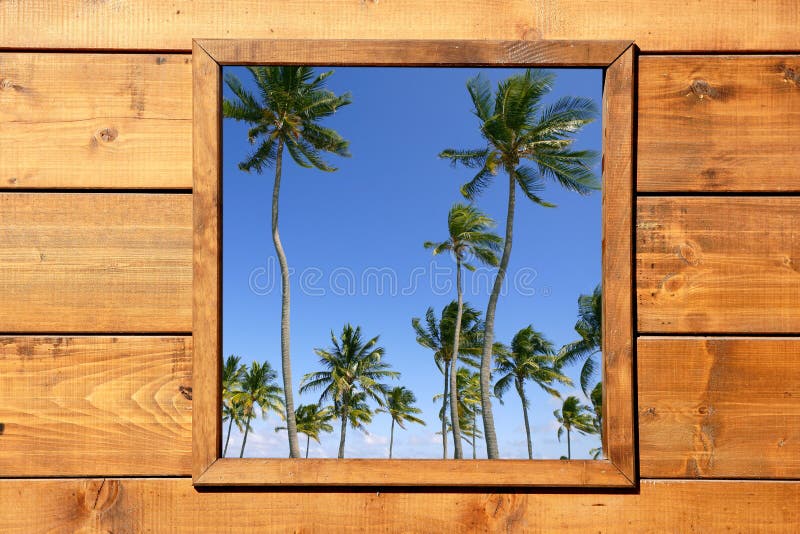 Wooden Window Jungle Green Forest View Stock Photo - Image of forest ...