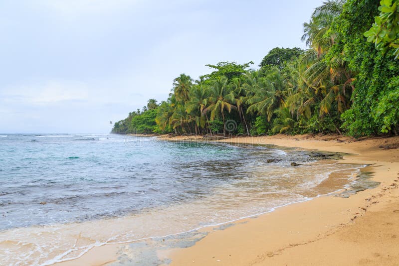 Tropical Paradise Beach Costa Rica Stock Image - Image of horizon ...