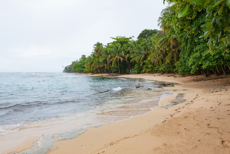 Tropical Paradise Beach Costa Rica Stock Photo - Image of landscape ...