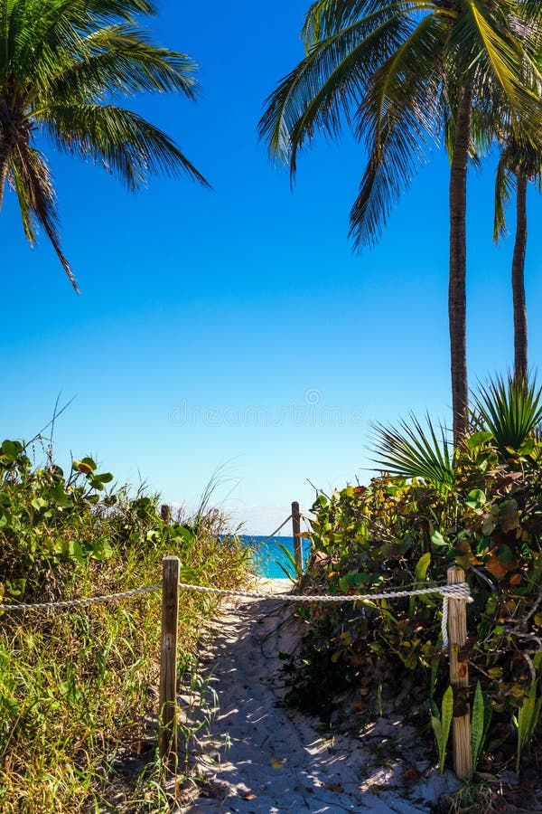 Tropical Paradise Nature Landscape Vertical Stock Photo - Image of ...