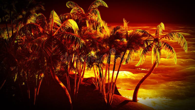 Tropical paradise at night stock image. Image of honeymoon - 61900297