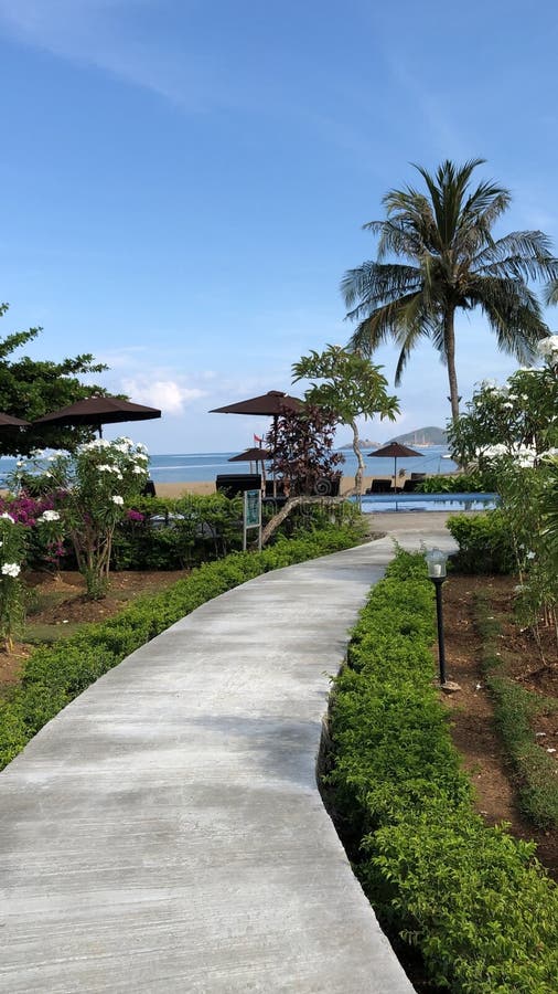 Tropical Paradise Path stock image. Image of vacation - 366200379