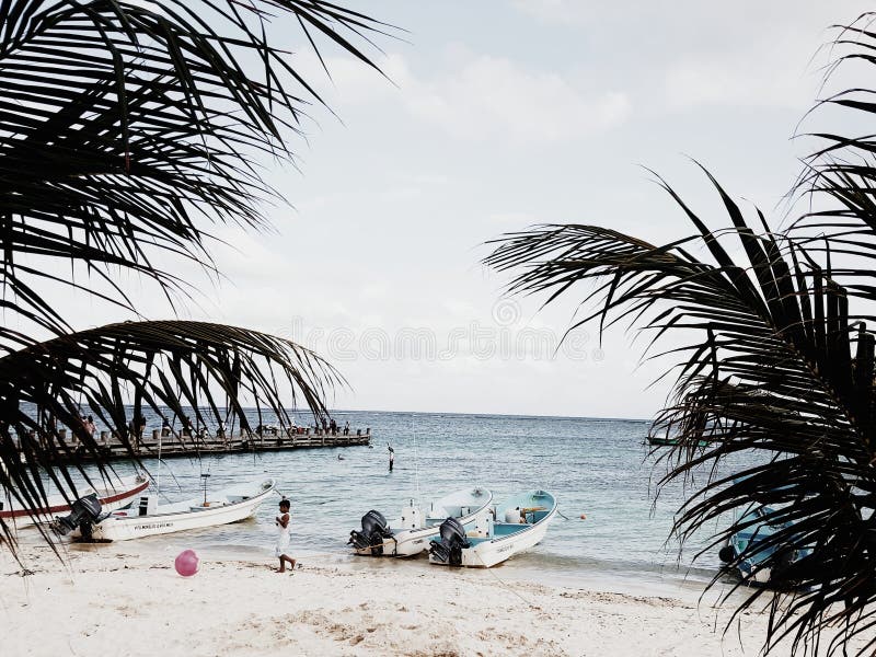 Tropical paradise editorial stock photo. Image of ocean - 104748633