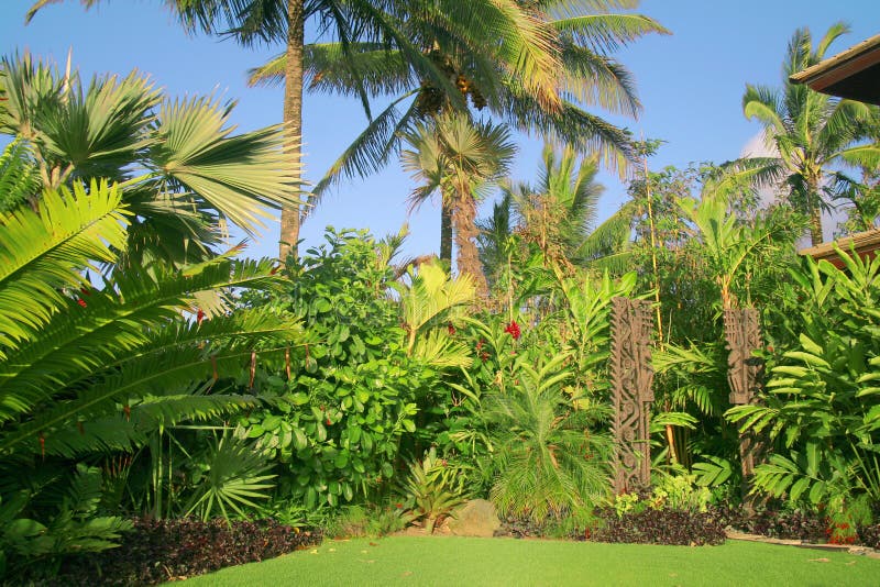 Tropical Garden Path stock image. Image of palm, nature - 9817797