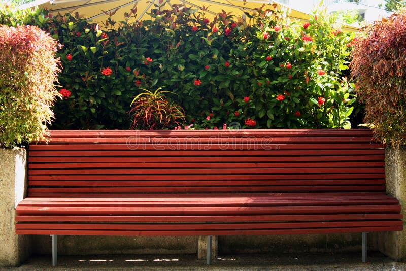 Tropical Park Bench Picture. Image: 791385