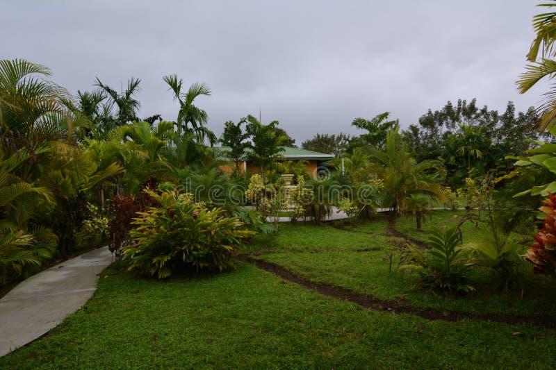 Tropical Park in Costa Rica Stock Photo - Image of path, blue: 302975102