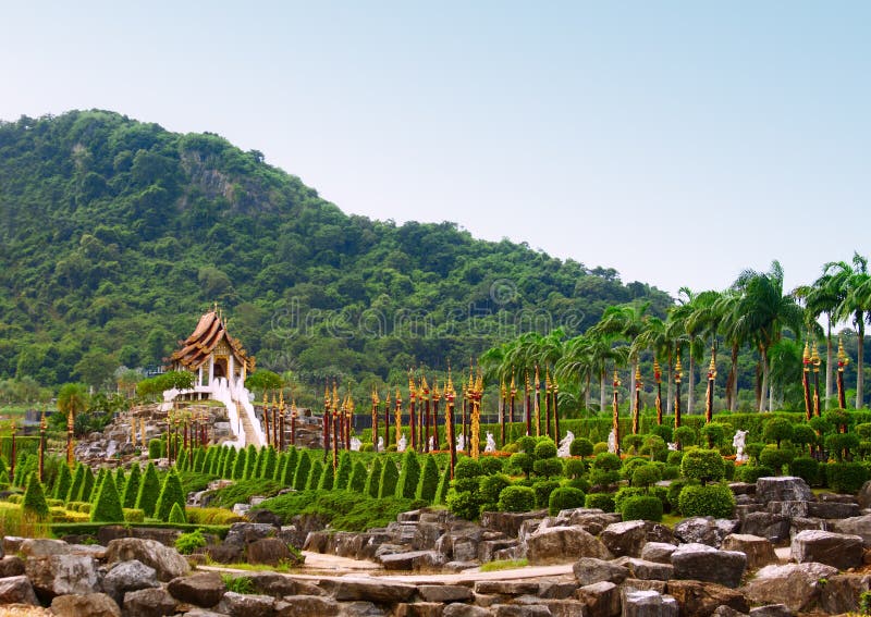 Tropical park Nong Nooch stock photo. Image of palm, tree - 21035546