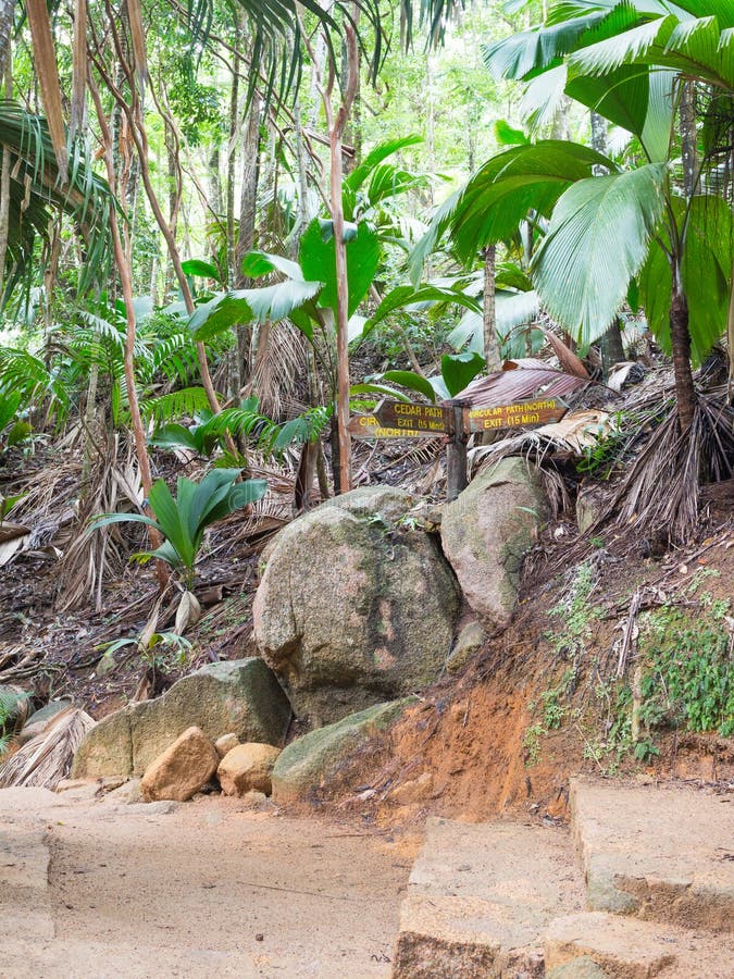 Tropical park stock image. Image of lane, adventure, landscapes - 47982641