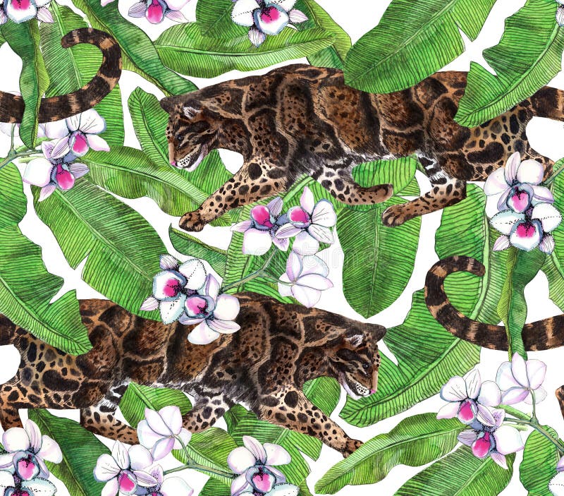 Tropical Pattern with Clouded Leopard and Tropical Flowers. Seamless ...