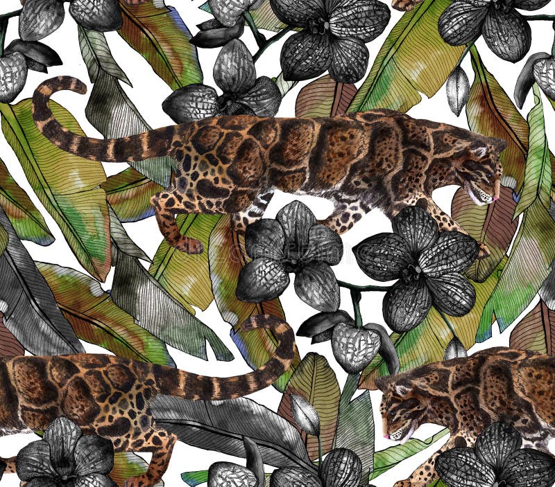 Tropical Pattern with Clouded Leopard and Tropical Flowers. Seamless ...