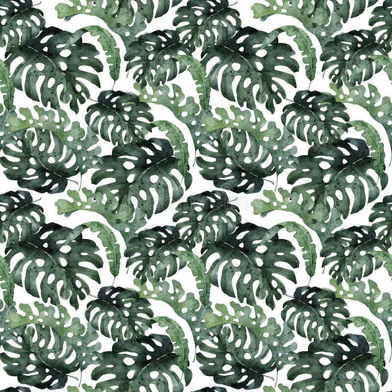 Tropical Pattern with Jungle Leaves, Palm Tree. Exotic Leaves ...