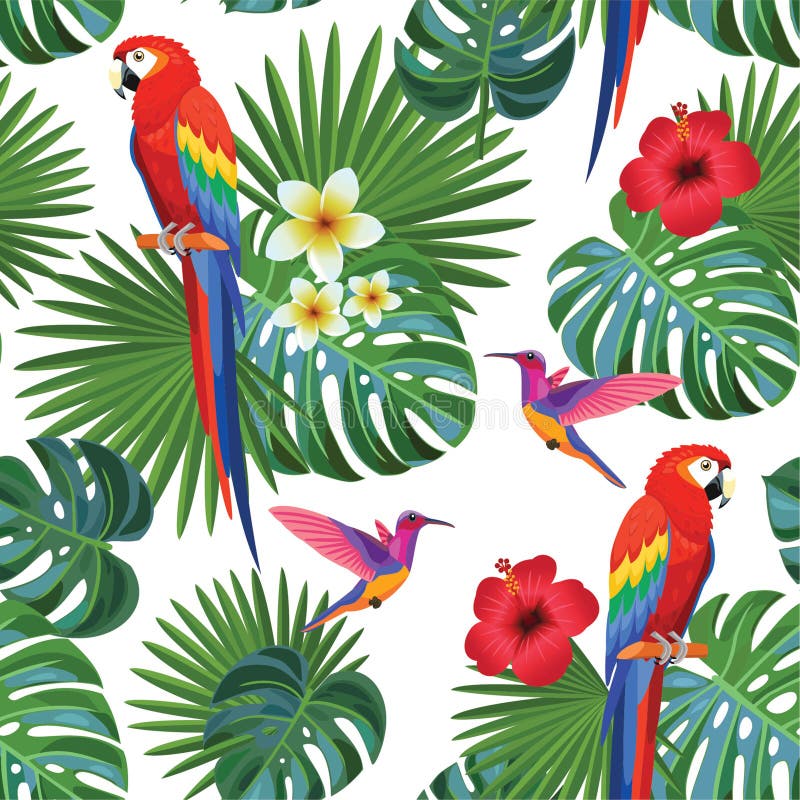 Tropical Pattern with Parrots and Hummingbirds. Vector Seamless Texture ...