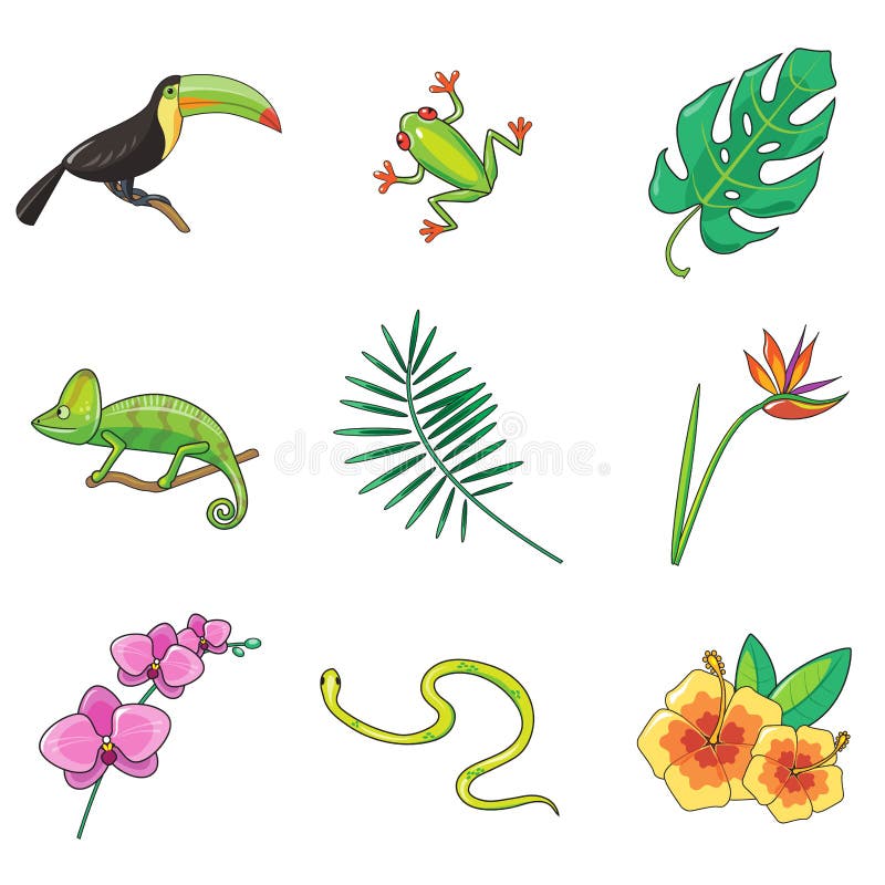 Tropical Plants and Animals Icon Stock Vector - Illustration of ...