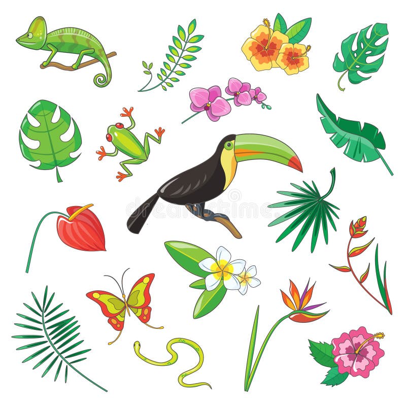 Tropical Plants and Animals Icon Stock Vector - Illustration of shape ...