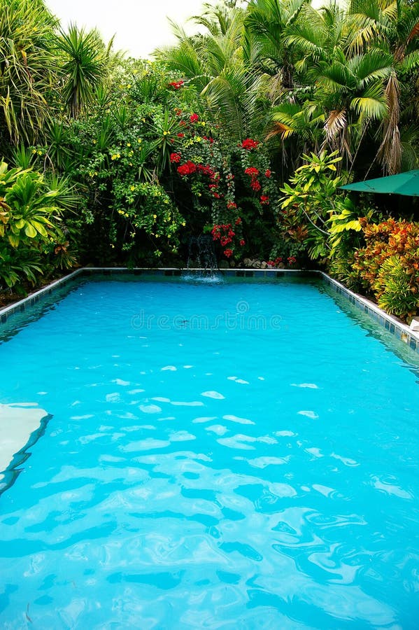 Tropical pool stock image. Image of vegetation, blue - 49997131