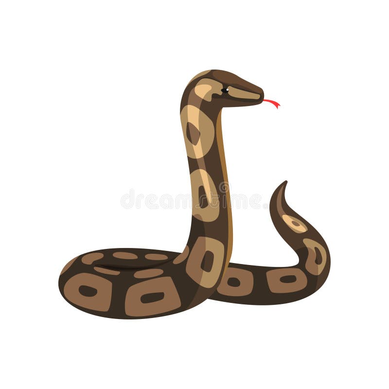 Python Royal Stock Illustrations – 608 Python Royal Stock Illustrations ...