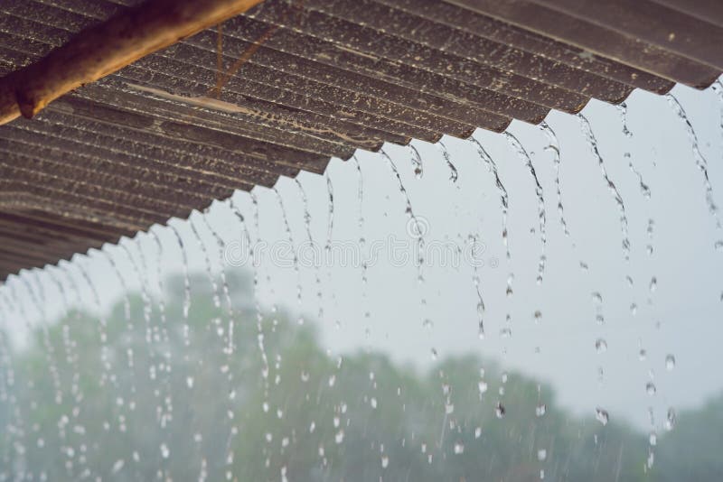 Tropical Rain Breaks Down from the Roof Stock Photo - Image of ...