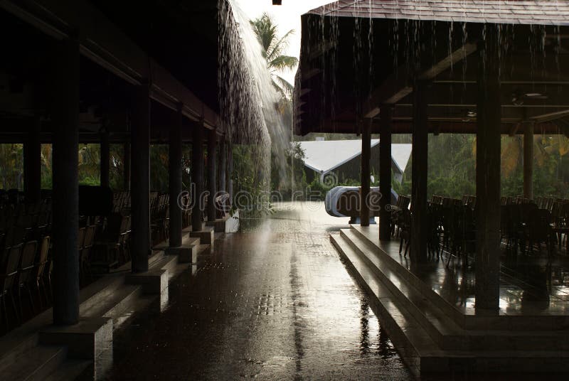 Tropical rain in hotel stock photo. Image of palm, rian - 10616842