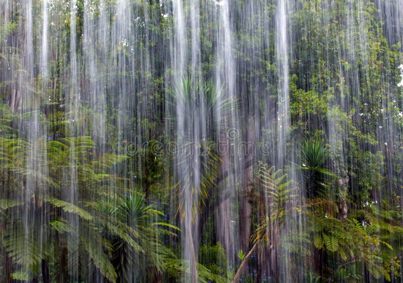 Tropical Rain in the Jungle Stock Image - Image of trees, monsoon: 33082817