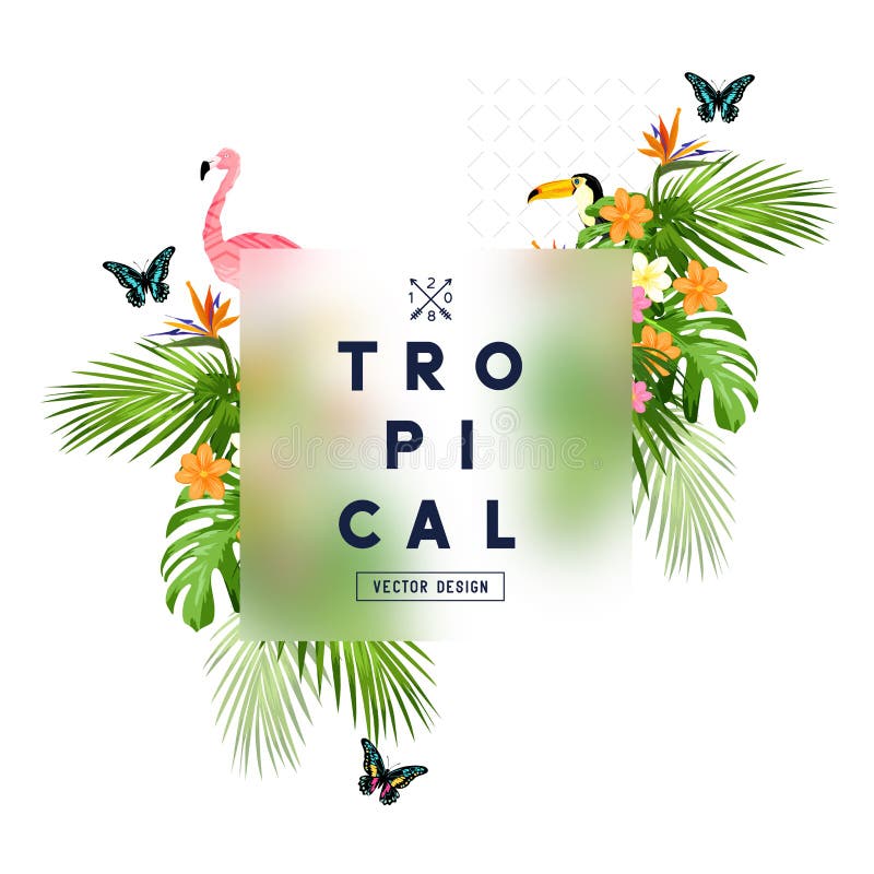 Tropical Rainforest Frame stock vector. Illustration of bird - 115597528