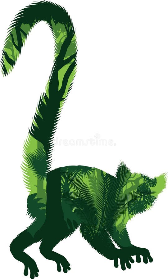 Tropical Rainforest Jungle Illustration with Lemur Stock Vector ...