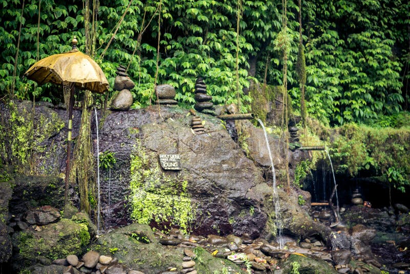 Tropical Rainforest Landscape, Bali Island, Indonesia. Stock Photo ...