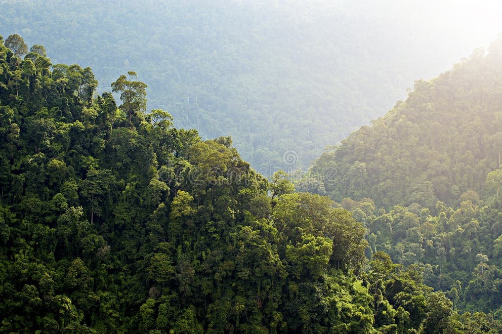 Tropical Rainforest Mountains Complete. Stock Photo - Image of scenery ...