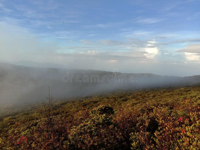 Tropical Rainforest in a Remote Part of Indonesia Stock Image - Image ...