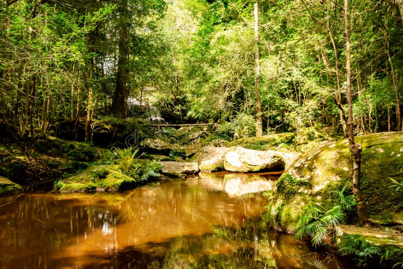 Tropical Rainforest Scenery View of Rock Around the Waterfall on Phu ...