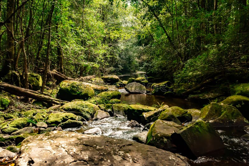 Tropical Rainforest Scenery View of Rock Around the Waterfall on Phu ...