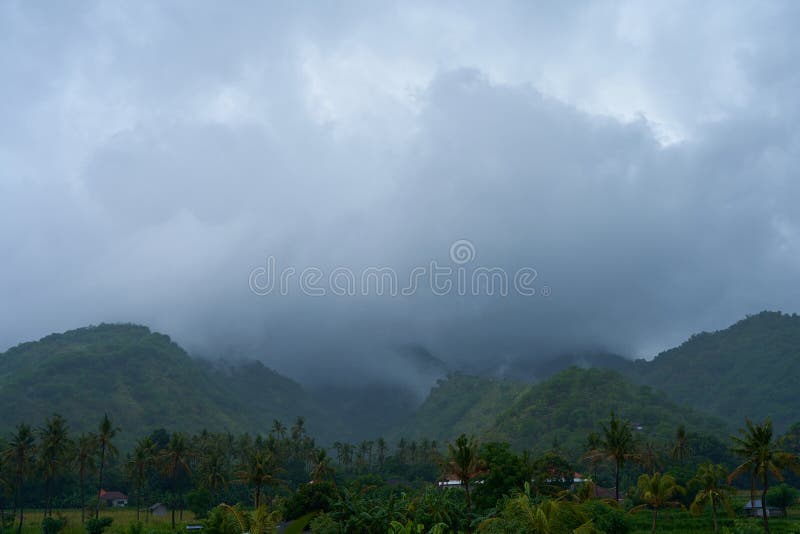 A Tropical Rainstorm in a Rice Field with Cascading Mountains and Palm ...