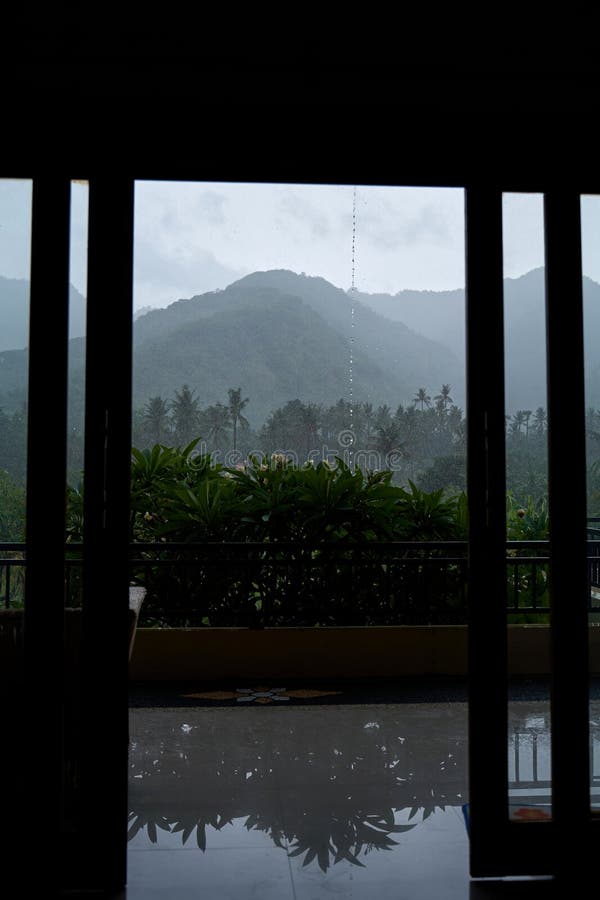 A Tropical Rainstorm in a Rice Field with Cascading Mountains and Palm ...