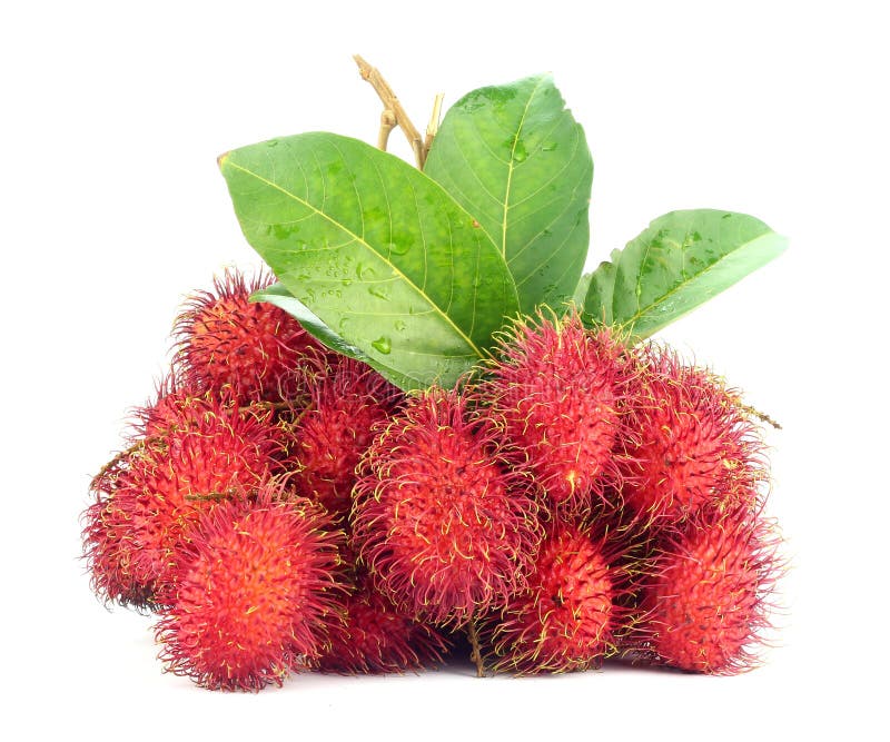 Tropical Rambutan Fruits stock photo. Image of rambutan - 36269210