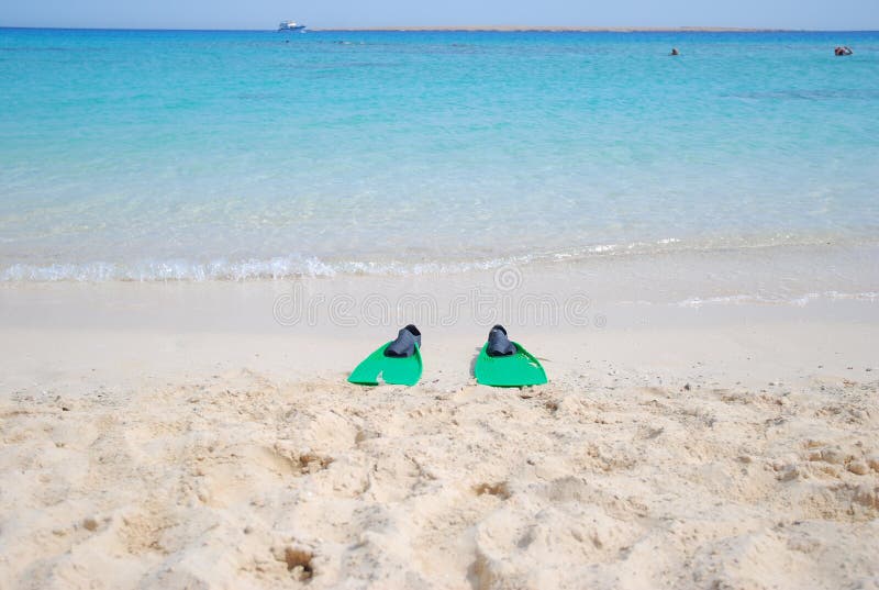 Tropical Red Sea in Egypt stock photo. Image of landscape - 5535578
