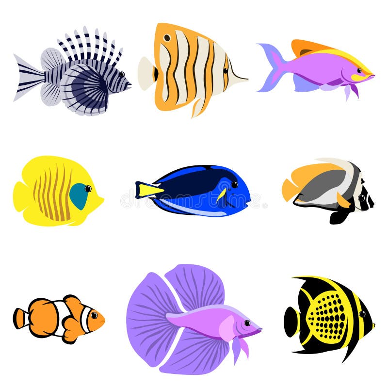 Collection Of Tropical Fish Stock Vector - Illustration of animals ...