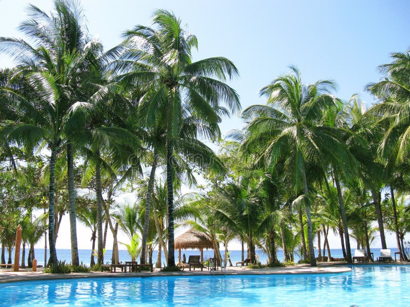 Tropical resort stock photo. Image of caribbean, sightseeing - 23361676