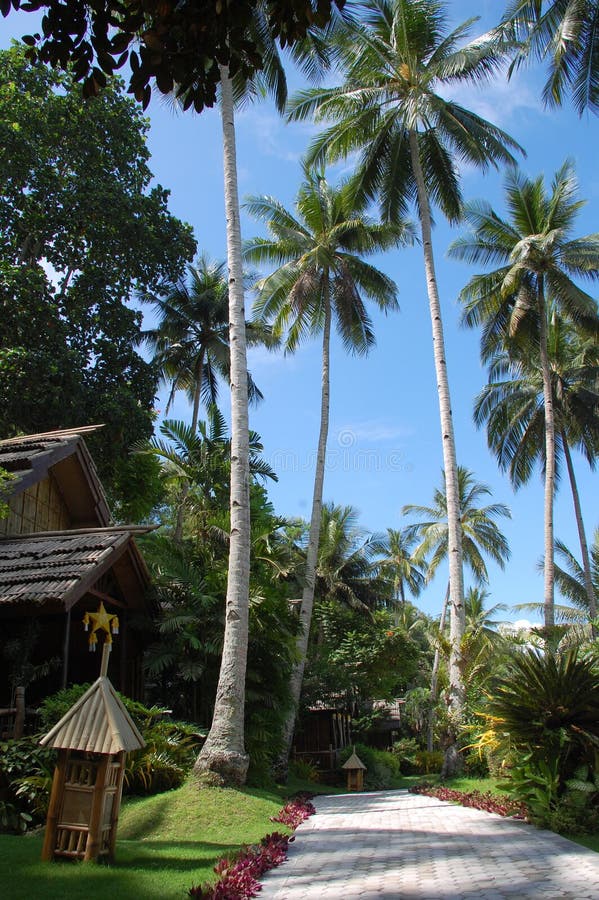 Tropical resort stock image. Image of tourist, resort - 4626249