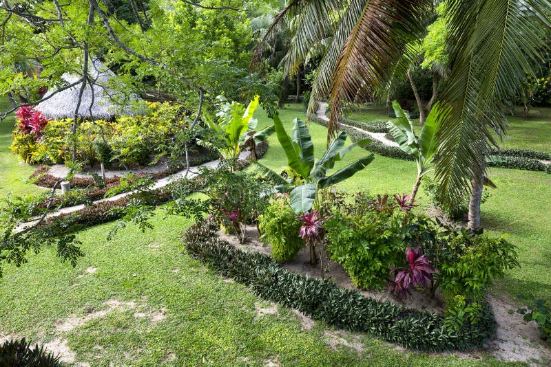 Tropical resort garden stock image. Image of path, landscape - 38086303