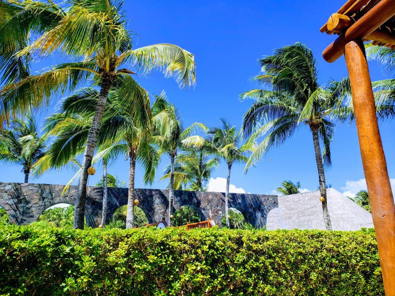 Tropical Resort Nature stock image. Image of resort - 206215185