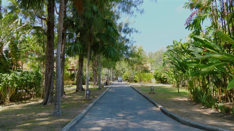 Tropical Resort Pathway Surrounded by Lush Stock Video - Video of blue ...
