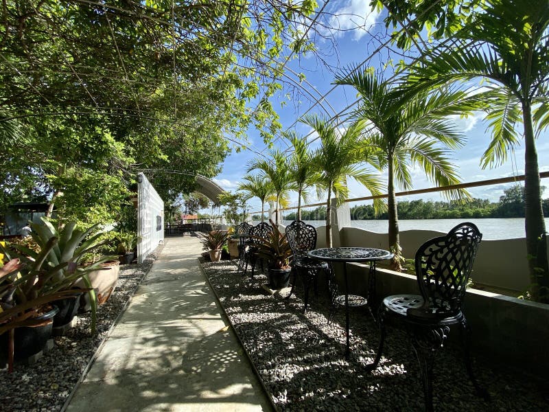 Tropical Resort with Palm Trees and Sunny Sky Stock Image - Image of ...