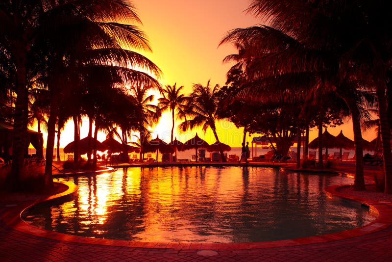 Tropical Resort Sunset stock photo. Image of scenery - 89330594