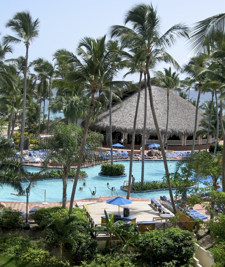 Tropical Resort Swimming Pool Picture. Image: 5087244